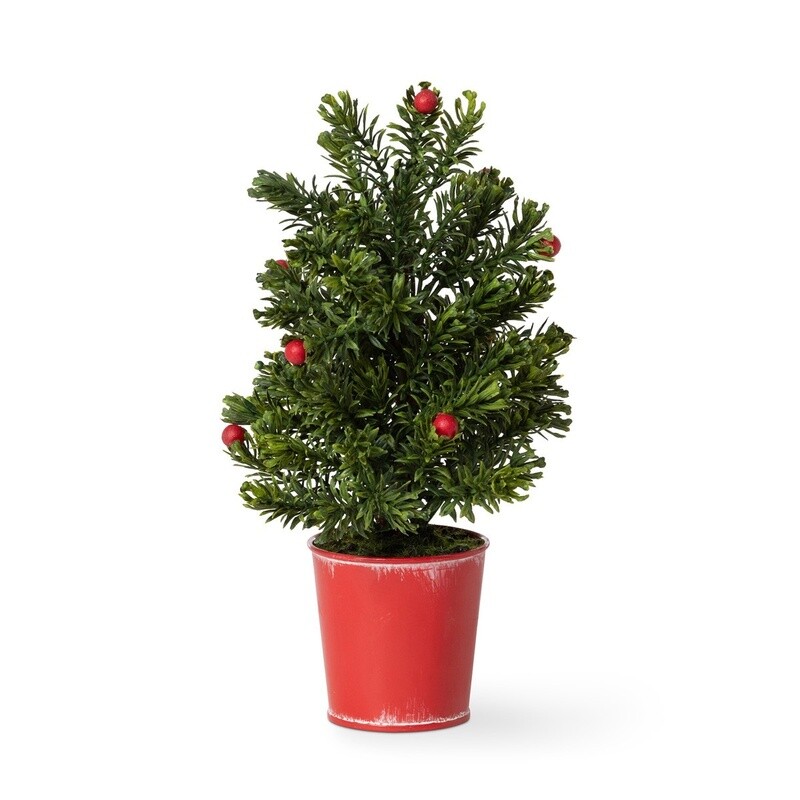 Mini Spruce Tree in Red Bucket