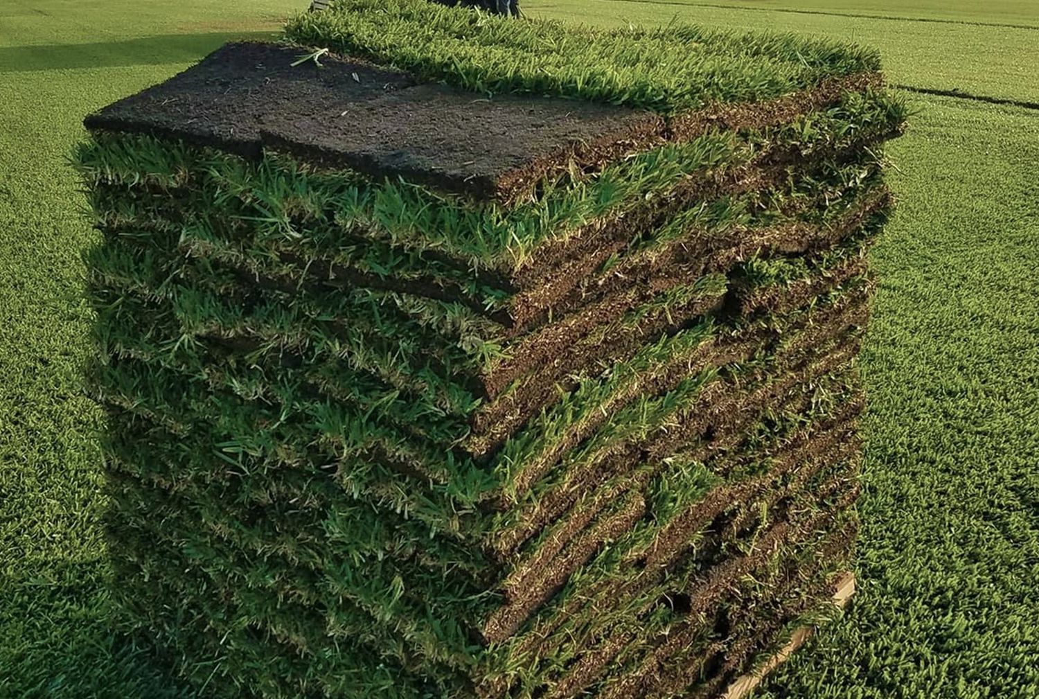 Centipede SOD Pallets