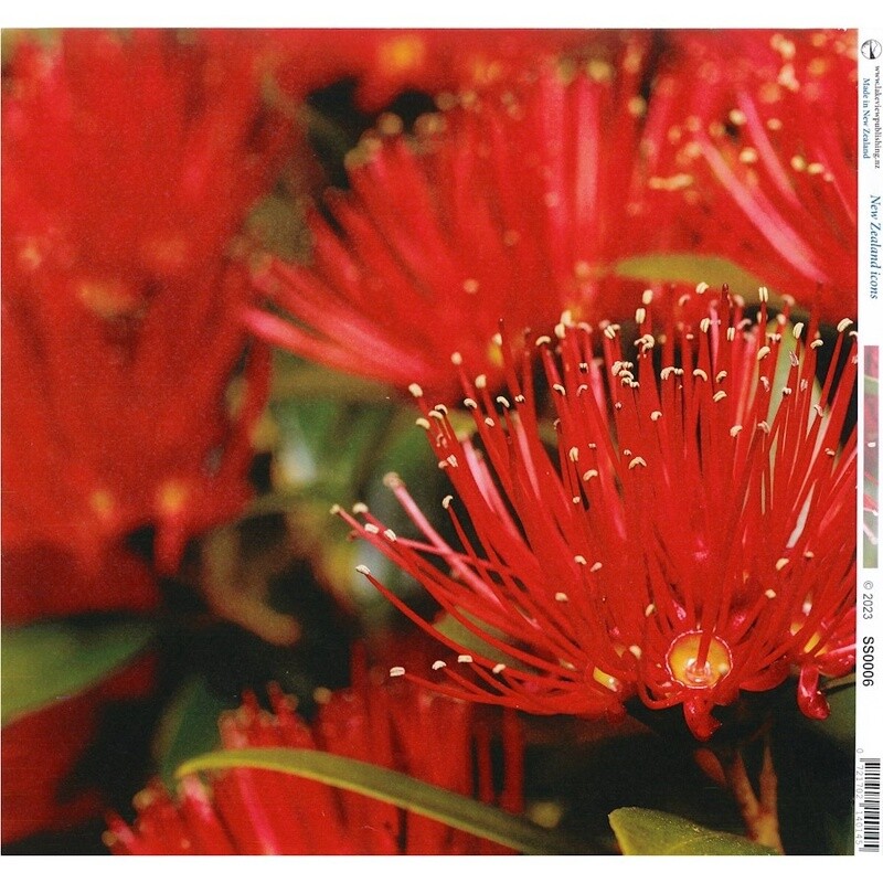 NEW ZEALAND POHUTUKAWA FLOWER