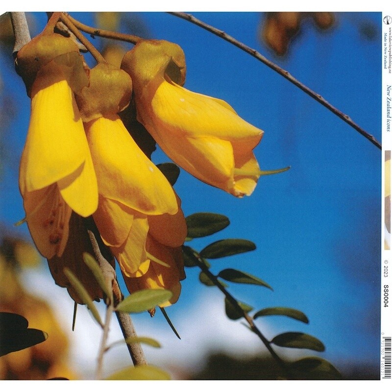 NEW ZEALAND KOWHAI