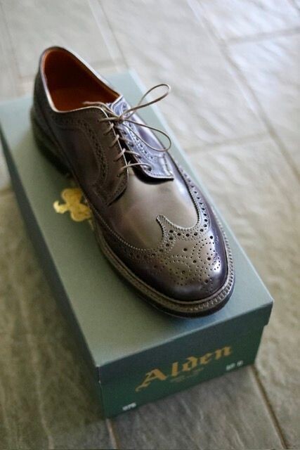 Alden 975 - Color 8 Shell Cordovan Longwing Blucher Alden 975 - Color 8 Shell Cordovan Longwing Blucher