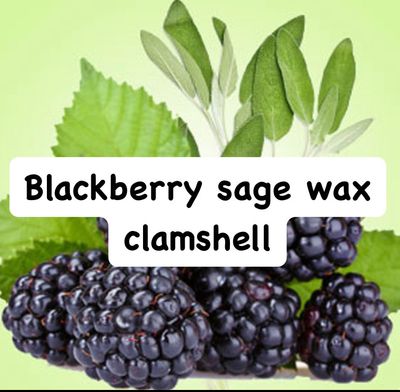 Witchy Bishh Boutique