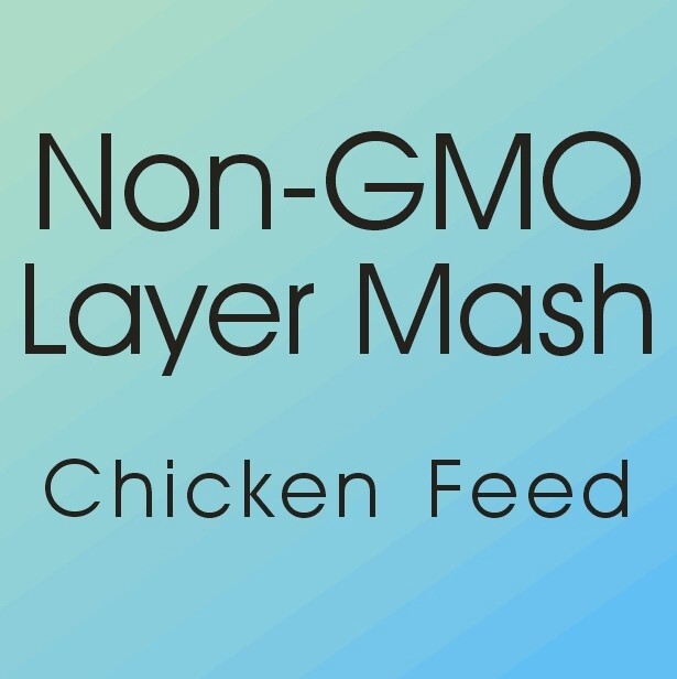 Non-GMO Chicken Layer Mash Feed
