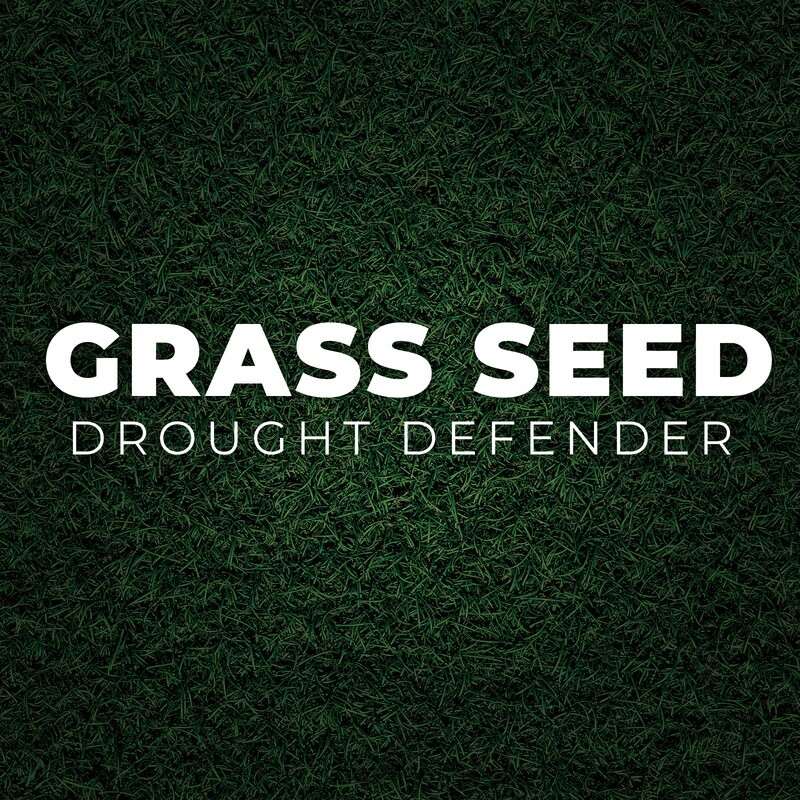 Grass Seed Drought Defender