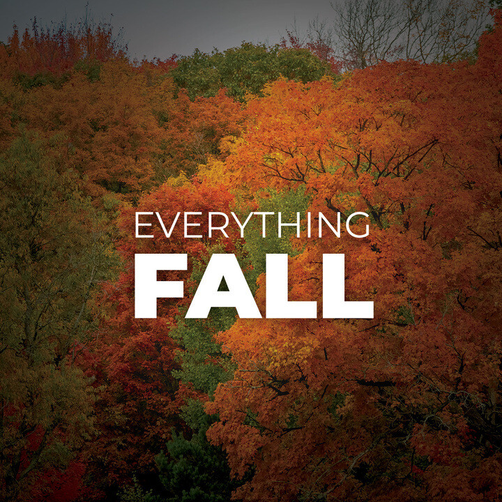 Everything Fall