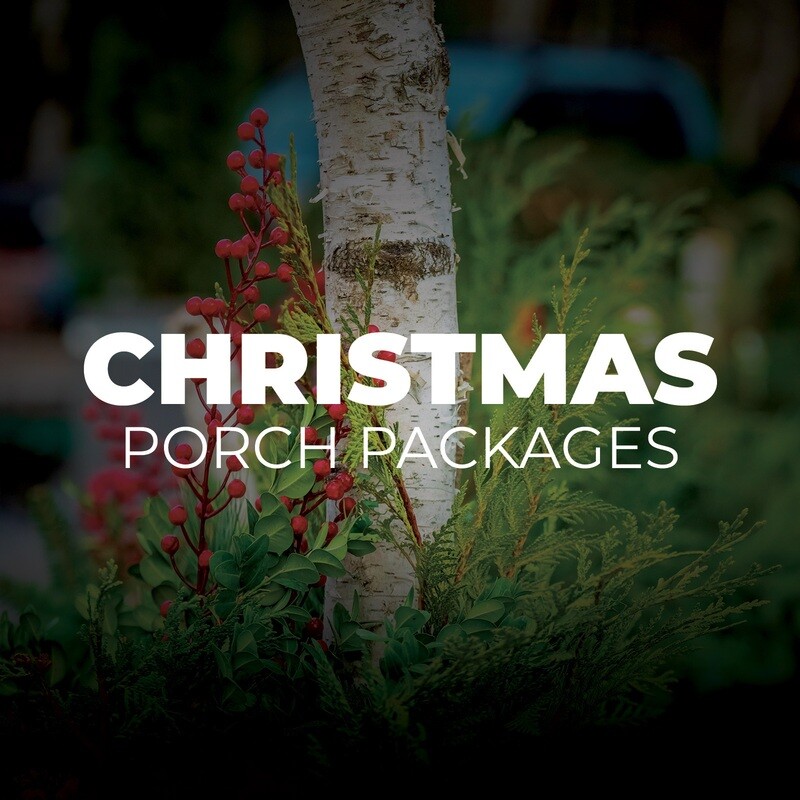 Winter Porch Packages