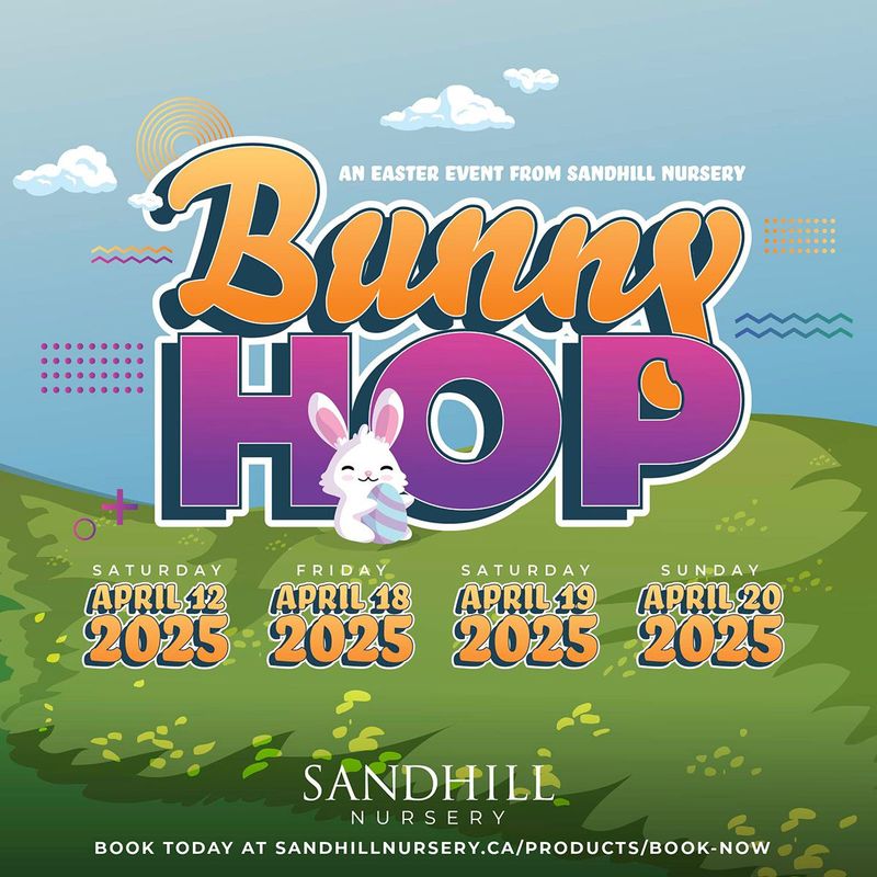 Bunny Hop Book Now!