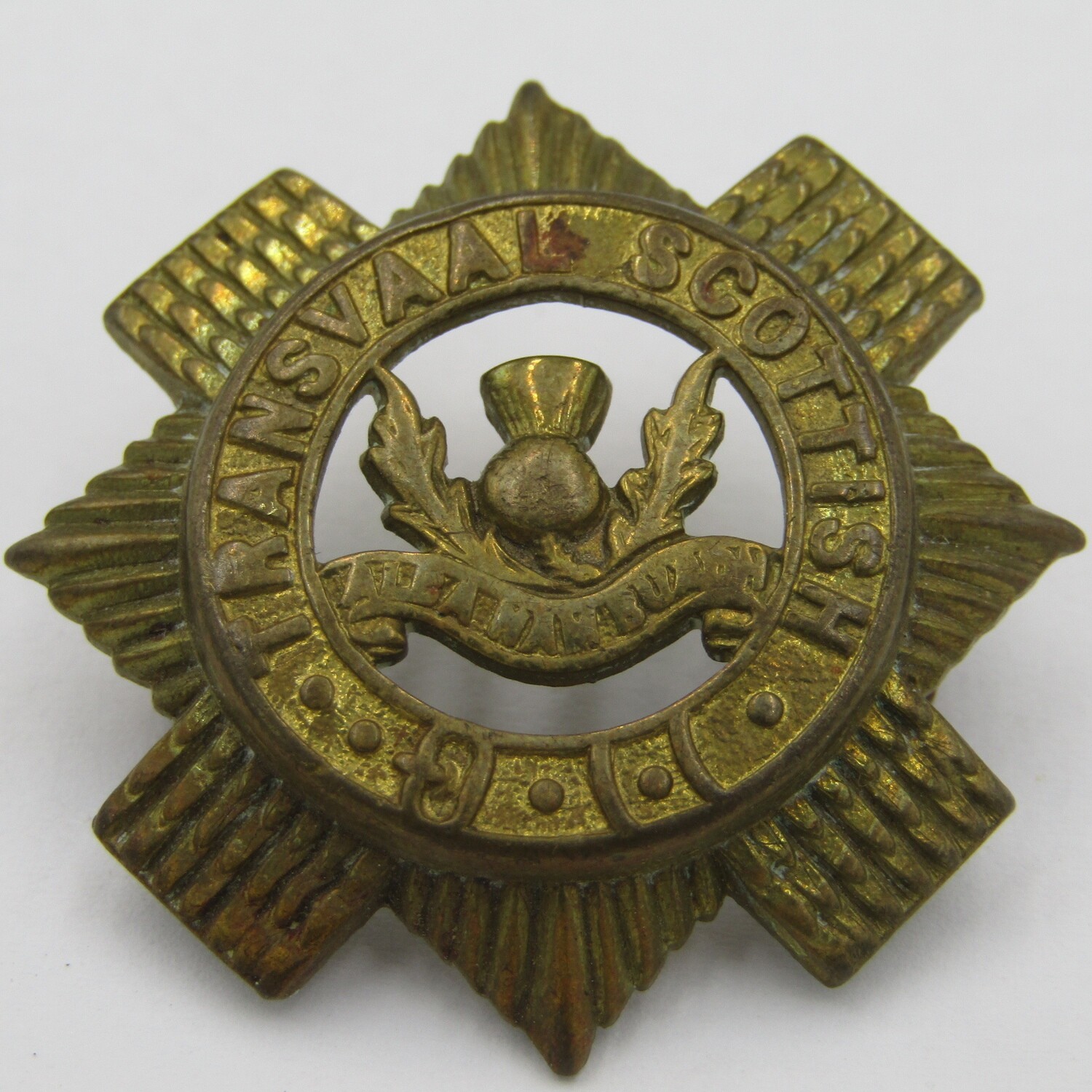 Transvaal Scottish collar badge