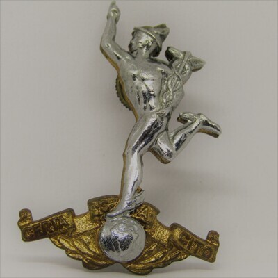 SA Army Badges and Insignia