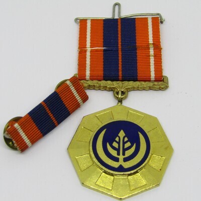 SADF medals