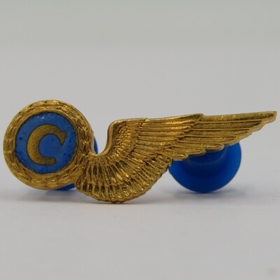 SA Air Force Badges and Insignia