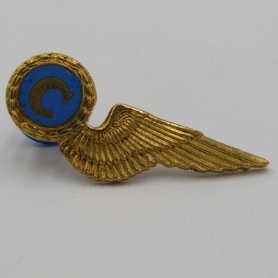 SA Air Force Badges and Insignia