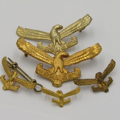 SA Air Force Badges and Insignia