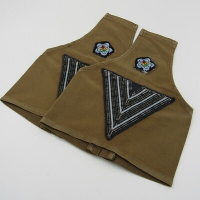 SA Air Force Badges and Insignia