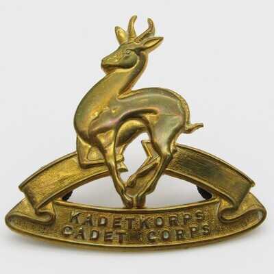 SA Army Badges and Insignia