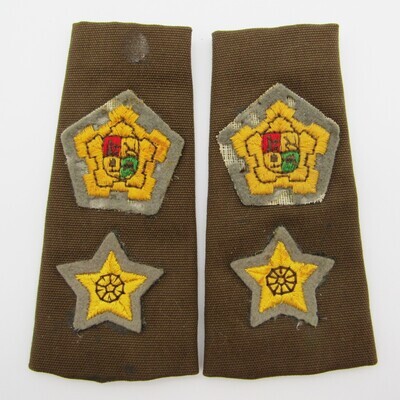 SA Army Badges and Insignia