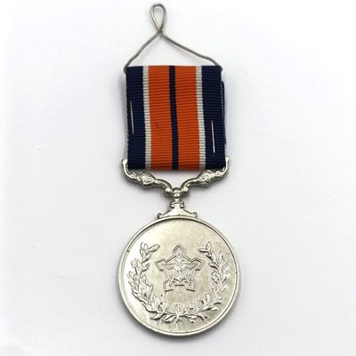 SADF medals