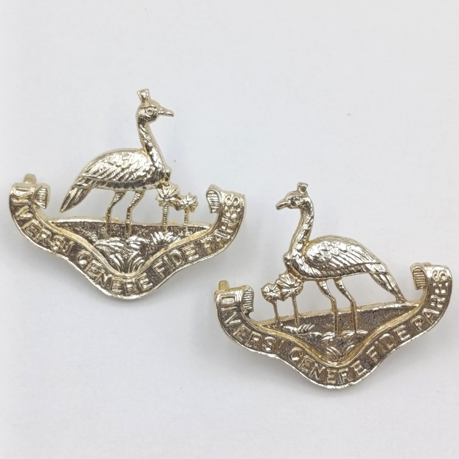 Pair of Northern Rhodesia regiment collar badges