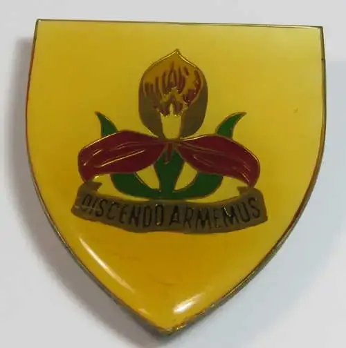 SADF military Academy shoulder flash