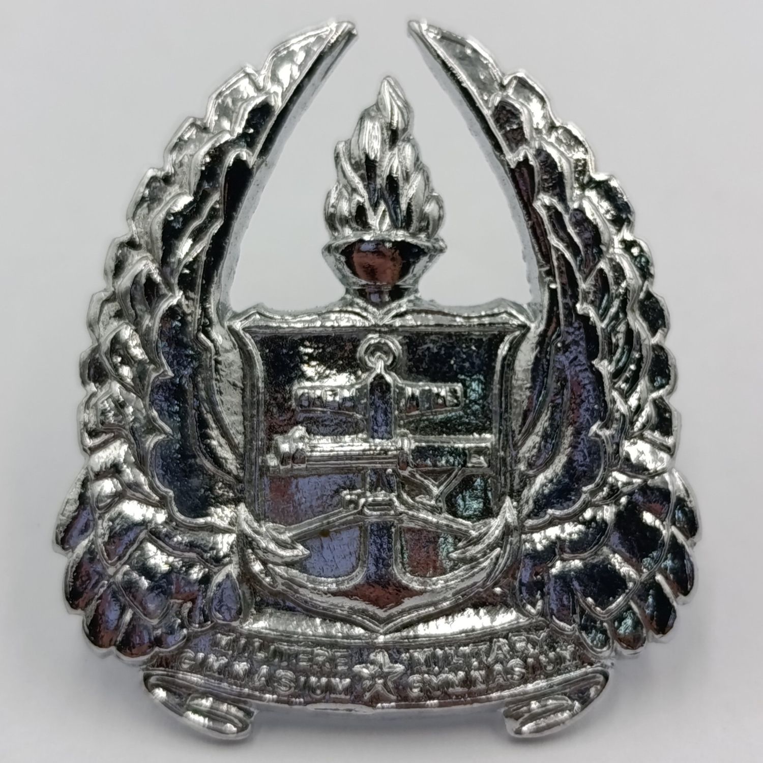 SADF Army Gymnasium beret badge