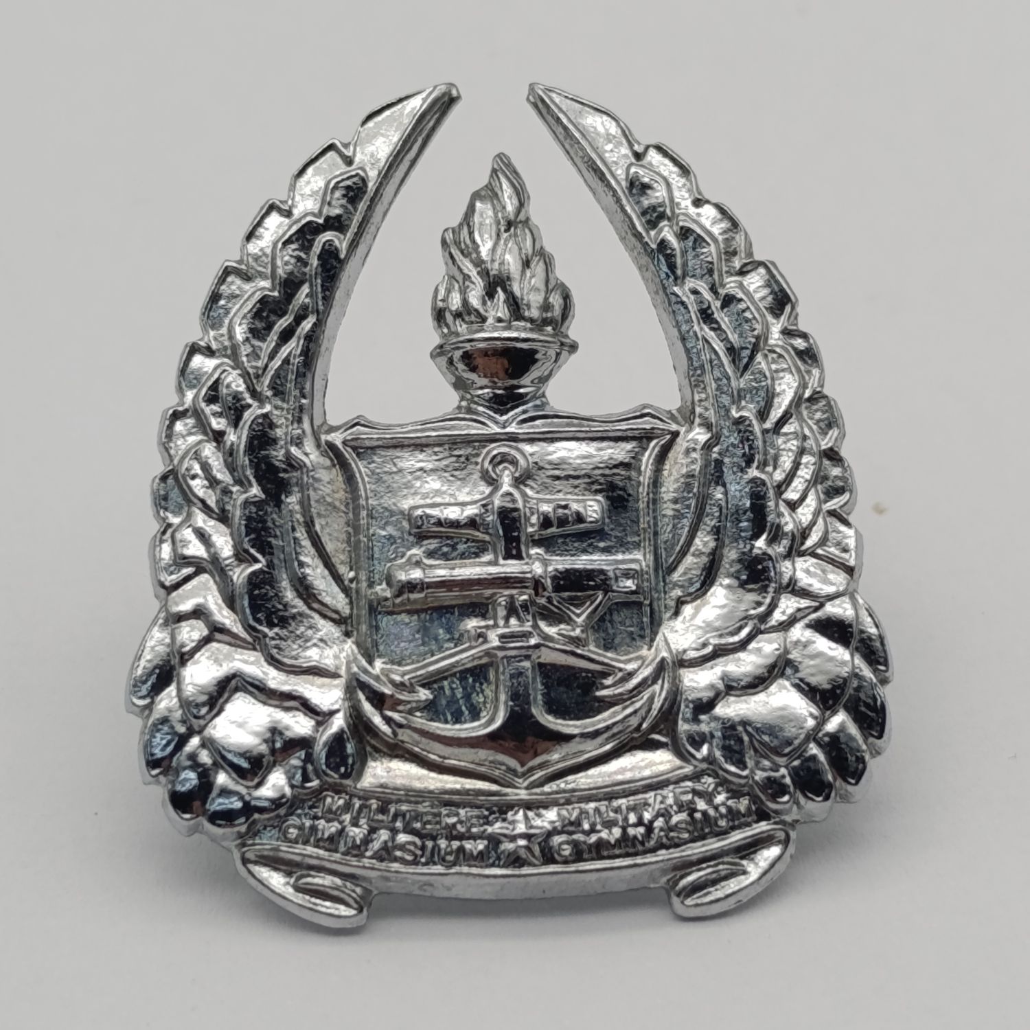 SADF Army Gymnasium beret badge