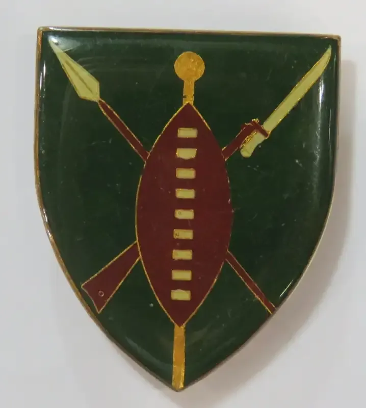 Transkei Defence Force shoulder flash