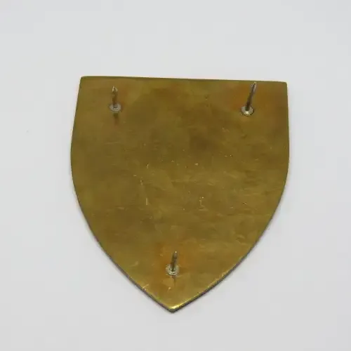 SADF Military Gymnasium shoulder flash