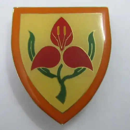 SADF Military Academy shoulder flash