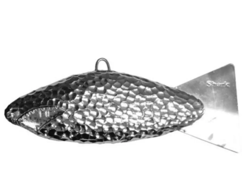 Chrome shark 10 pound