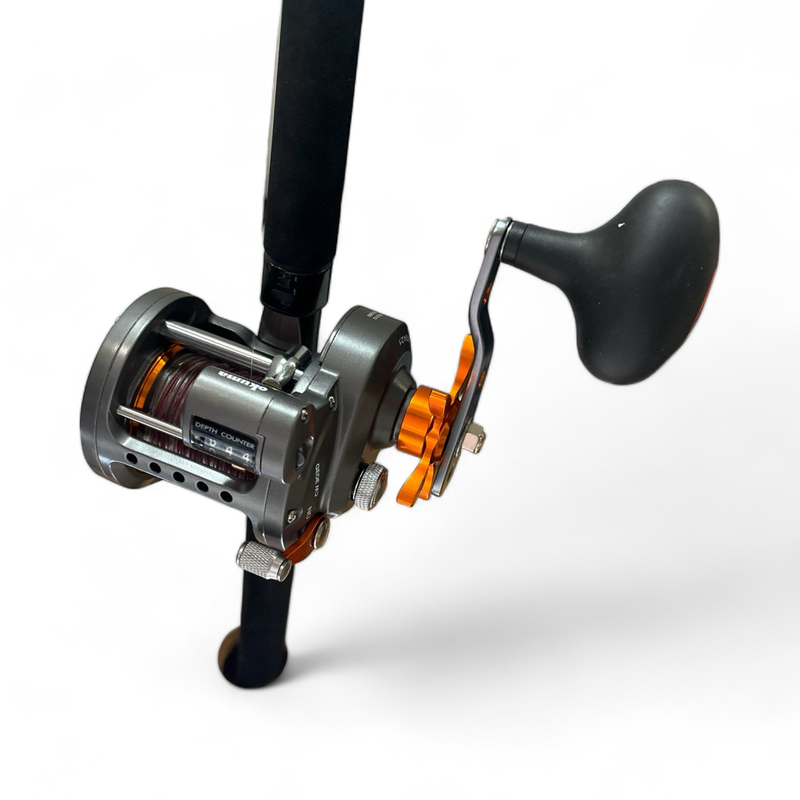 3 Color Leadcore/CW 303D/Plazma 9’ 10-17