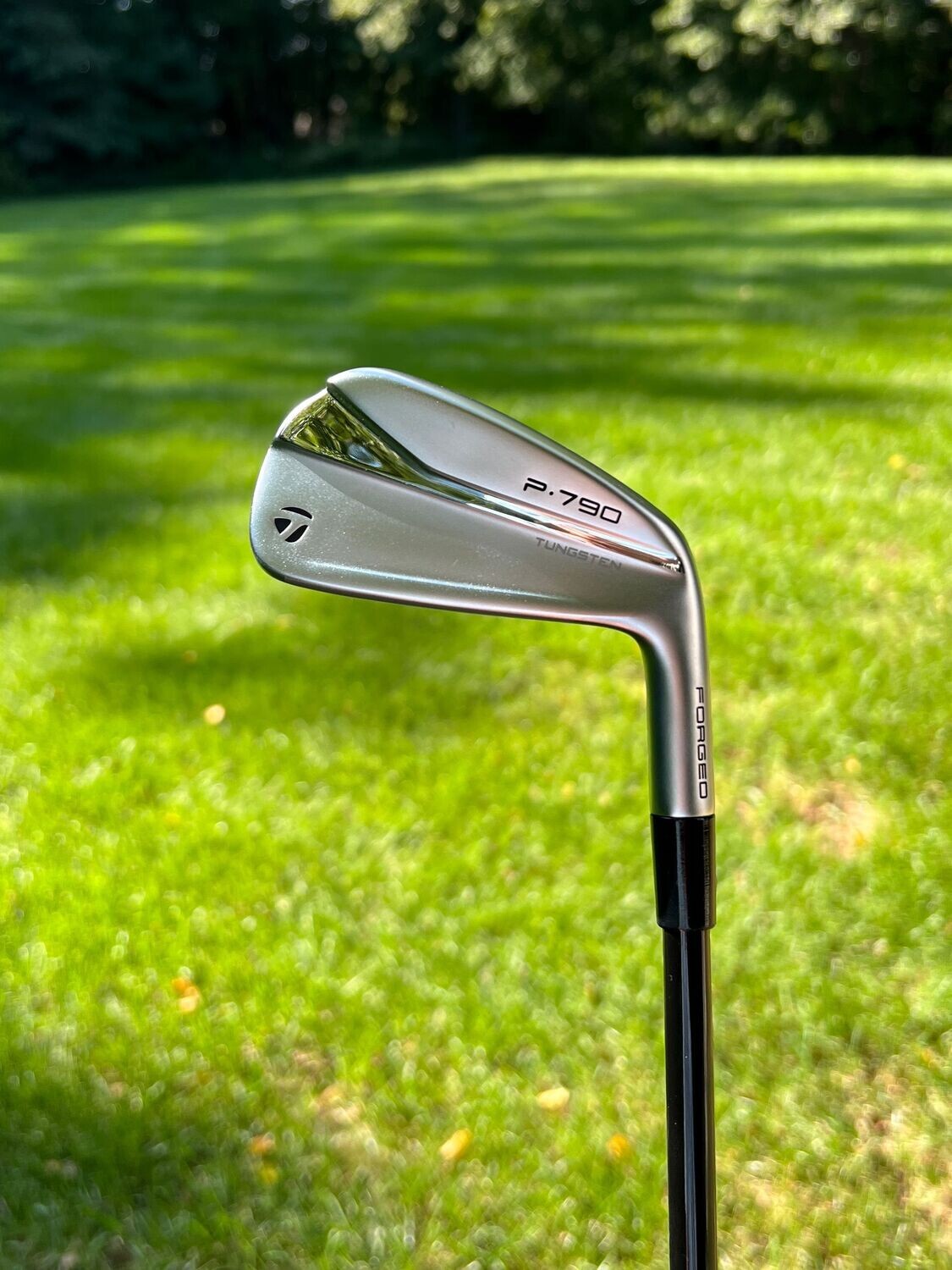 Taylormade P790 UDI 2 Iron
