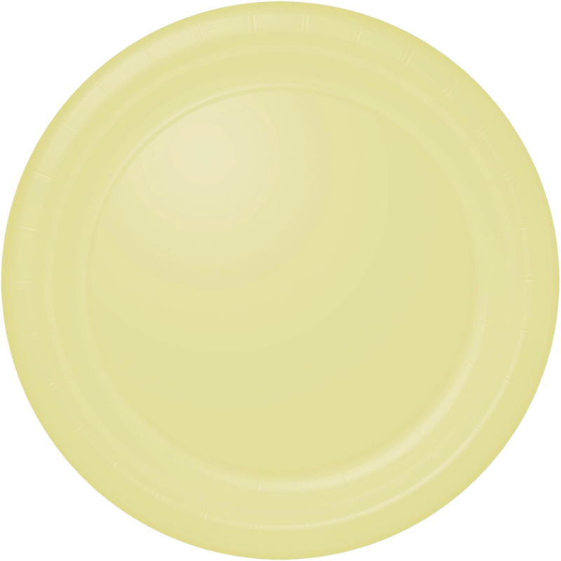Ivory Dinner Plate 24 Count