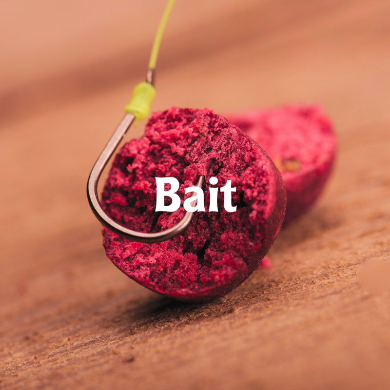 Best Fishing Baits & Bait Prep Accessories