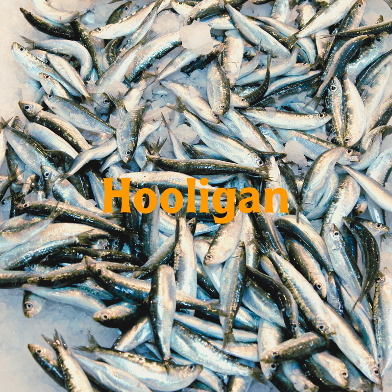 Hooligan Fishing Nets & Supplies | B&J Sporting Goods