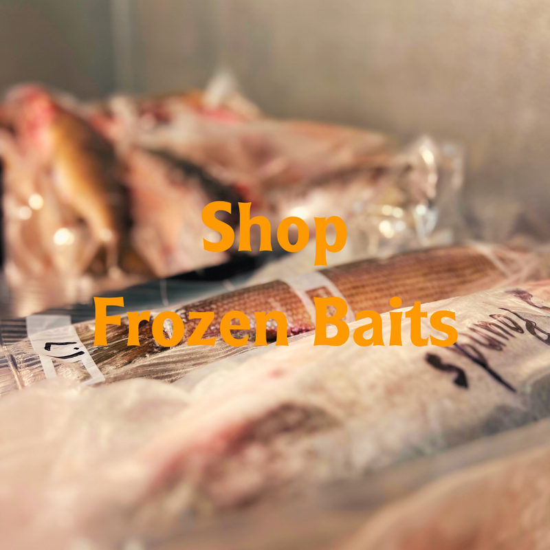 Premium Frozen Baits | B&J Sporting Goods