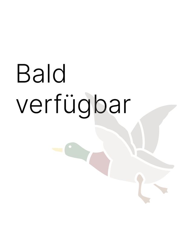 BADESHORT TOGS BASIC GREY