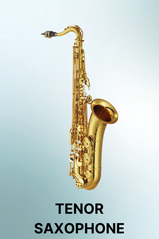 Tenor Saxophone Reeds