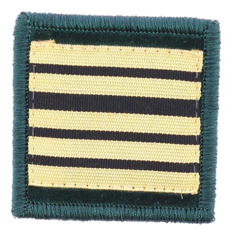 Grade / galon colonel pharmacien sapeurs-pompiers velours