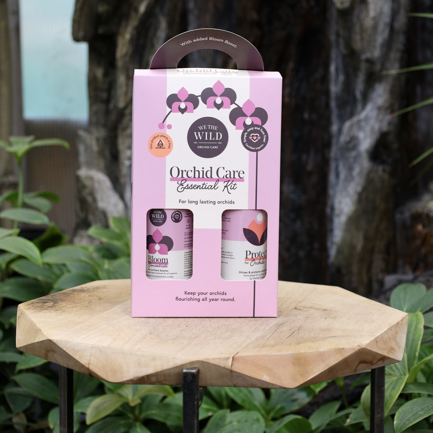 Orchid Essential Kit