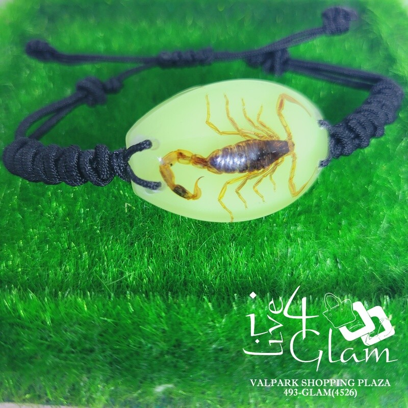 Real Animal Glow In The Dark Scorpion Bracelet Medium