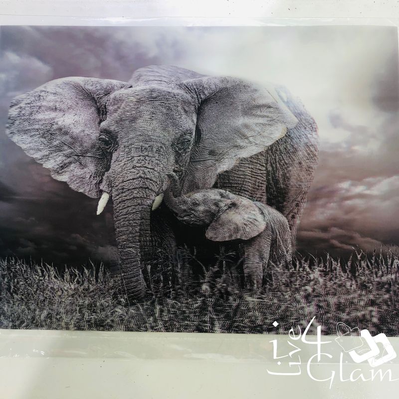 3D Holographic Poster Elephants