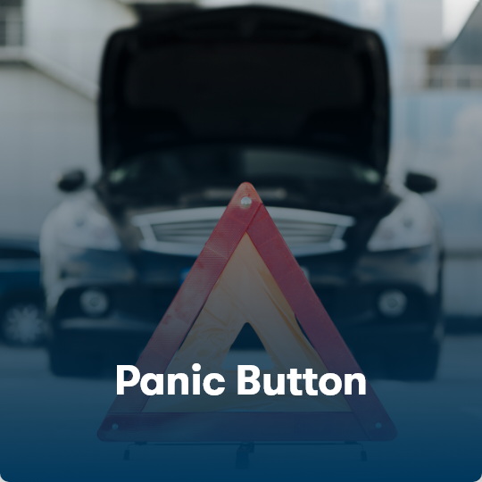 Panic Button