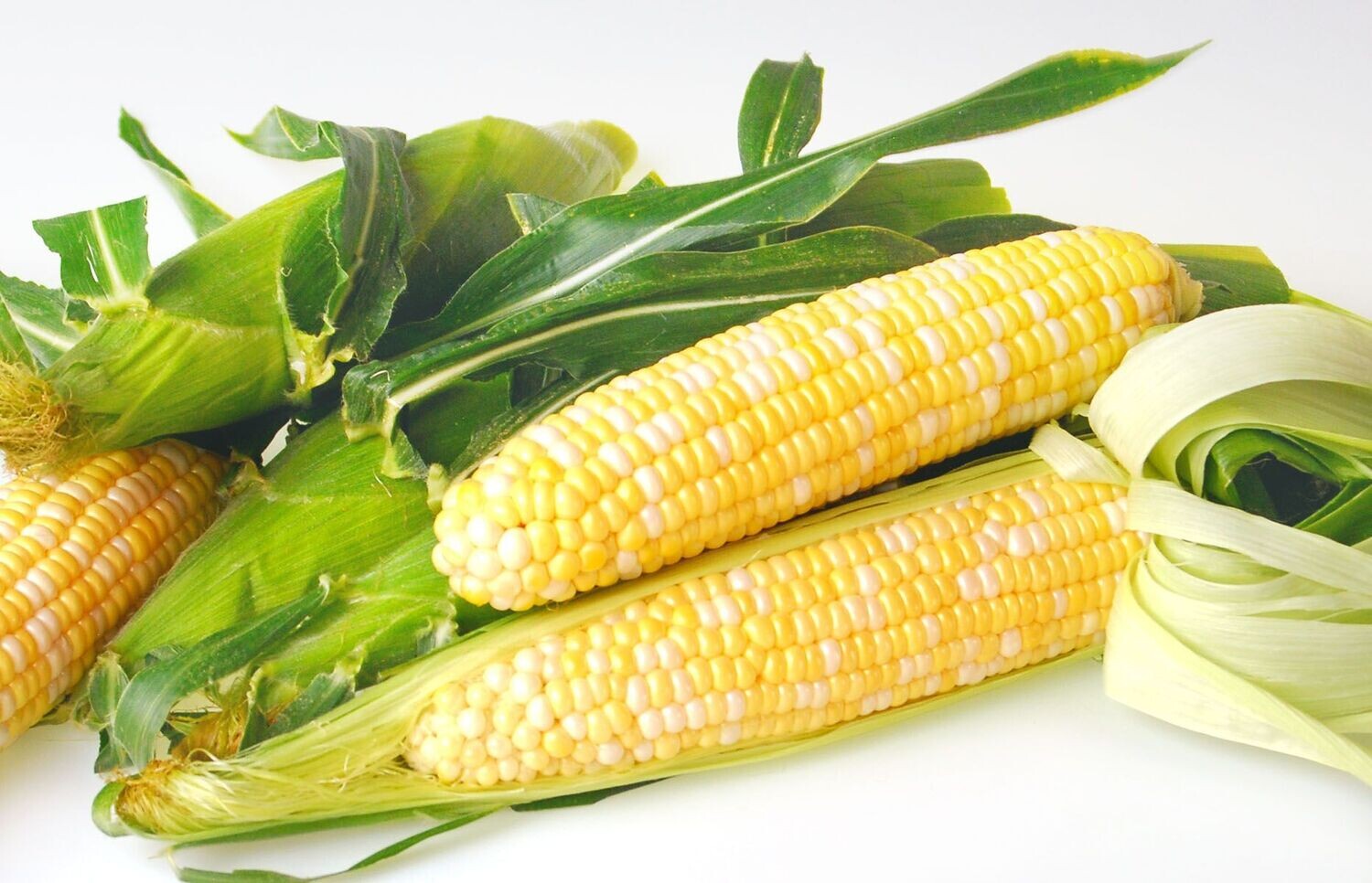 Sweet corn