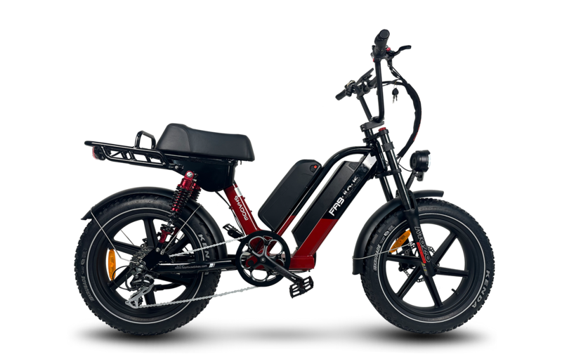 FURIOUS by Fabulous Ebikes USA