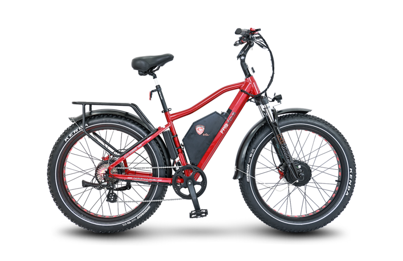 FURIOUS by Fabulous Ebikes USA