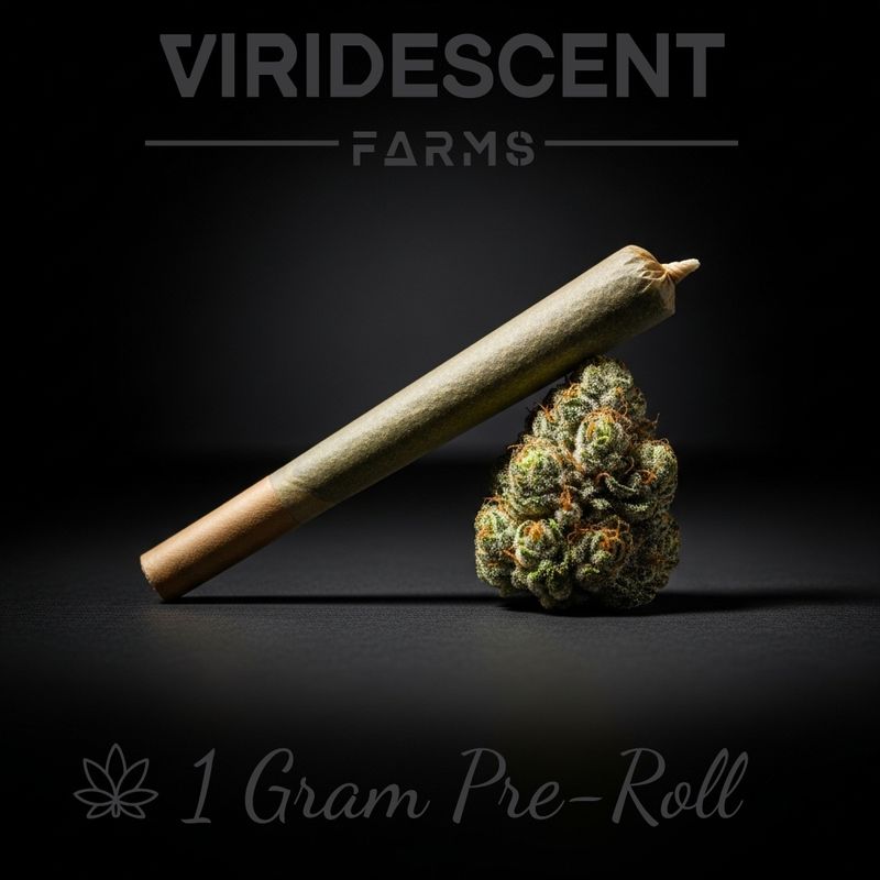 1 Gram Pre- Roll