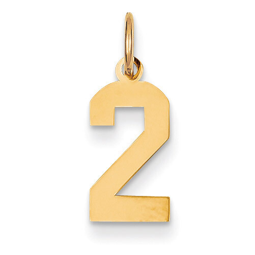 Small Polished Number 2 Charm 14k Gold LS02 - HomeBello