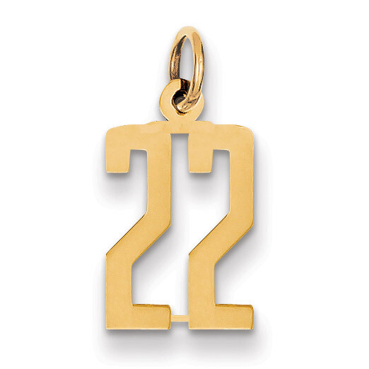 Number 22 Charm 14k Gold Small Polished Elongated LES22 - HomeBello