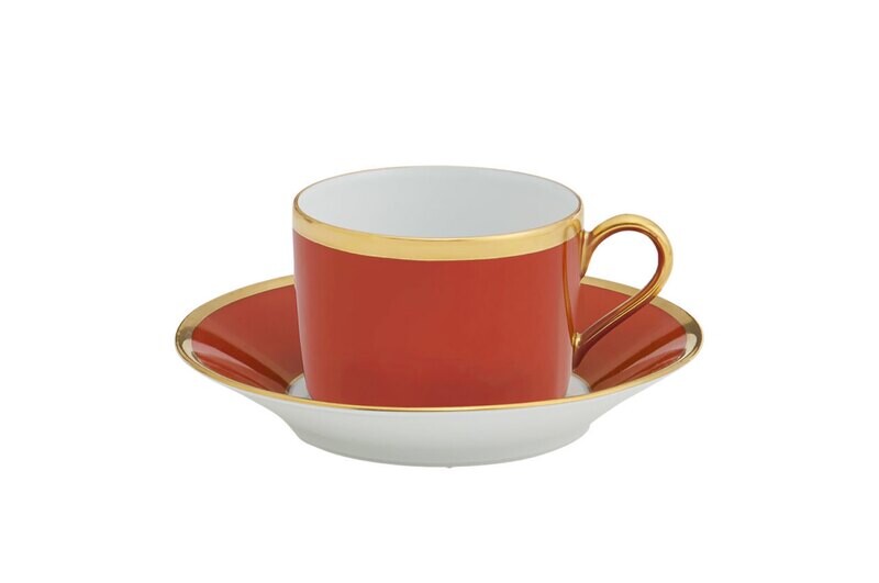 Robert Haviland Arc En Ciel Terracotta Tea Cup and Saucer HP53822