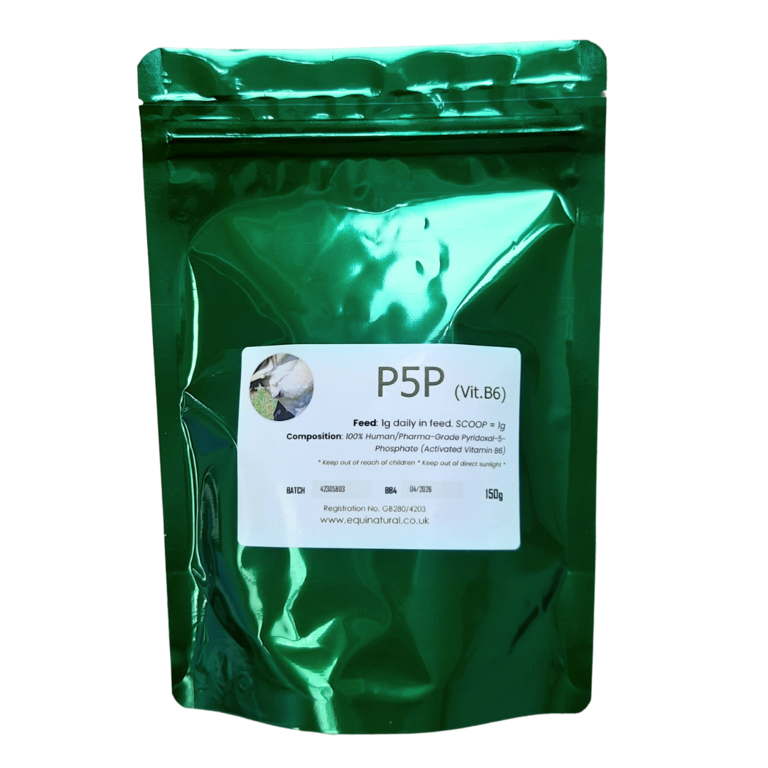 P5P SUBSCRIPTION - SAVE 10% *Activated Vit.B6 (Pyridoxal-5-Phosphate)